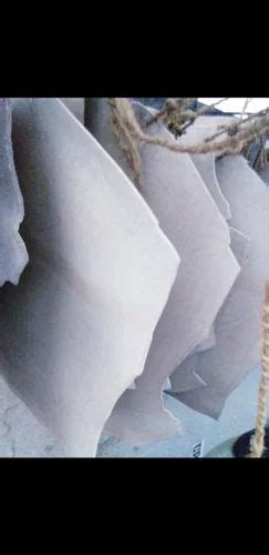 Black Natural Crust Butt Leather At Rs 90sq Ft In Kanpur Id