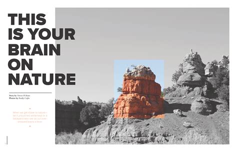 Magazine Spreads Behance