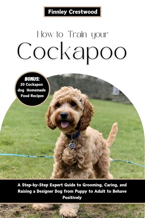 How To Train Your Cockapoo A Step By Step Expert Guide To Grooming Caring And Raising A