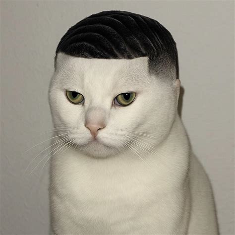 Sayin Itadakimasu B4 U Eat Da Pussy Mk V Ver 2 Screenshot And Stolen From The Group ~dadmin