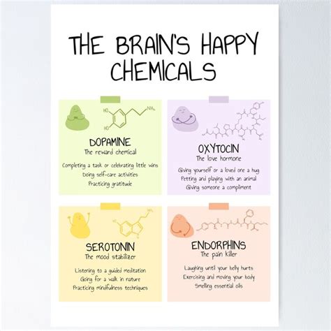 Happy Brain Hormones Happiness Chemicals Digital Therapy Print Office