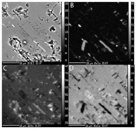 Microprobe X Ray Elemental Maps Of Alternating Deformed Albite Twin Download Scientific Diagram