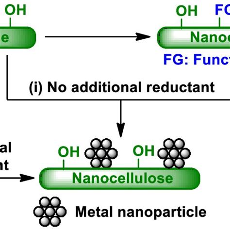 Schematic Illustration For Synthesis Of Metal Nanoparticles Supported