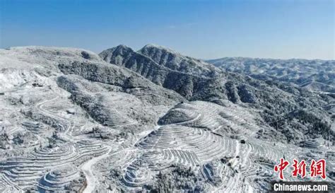高山茶园遇上“冰雪奇缘” “冰封茶园”让游客流连忘返