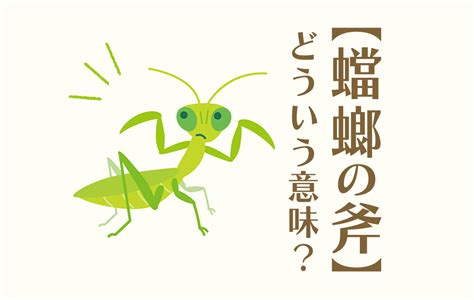 【蟷螂の斧】の意味は？由来はあの昆虫！例文や類語と合わせて解説 Domani