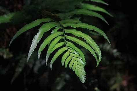 How To Load Data Faster Using Pyodbc Into A Ms Sql Server Database By Daniar Achakeev Medium