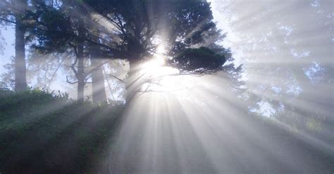 Uncover How To Connect With Spirit Guides In 7 Simple Steps Reality