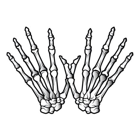 Как поэтапно нарисовать руку скелета Фотоподборки 1