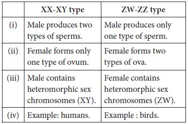 Class 12 Biology Sample Paper Set A