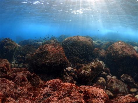 青い海に満たされて。 東京都世田谷のダイビングスクール Ocean Tribe オーシャントライブ