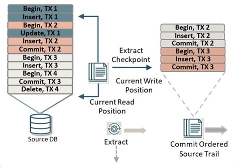 Components Of Data Replication In Oracle Goldengate