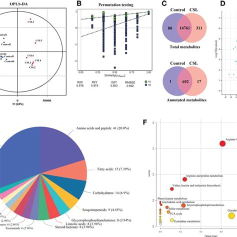 Overview Of Metabolomics In Codonopsis Pilosula Opls Da Score Plots