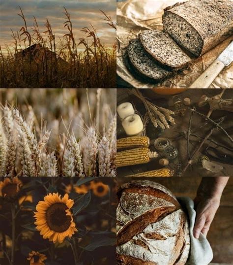 Lammas Rustic Sun Bread Recipe Artofit