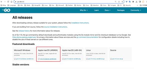 Go介紹、安裝配置環境、寫第一個go程序、go基礎語法、變量、基本數據類型、運算符、輸入輸出函數