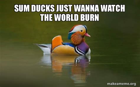 Sum Ducks Just Wanna Watch The World Burn Fashionable Advice Mallard Meme Generator