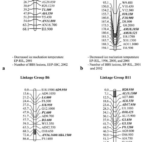 Linkage Groups With Quantitative Trait Loci Qtl Identifi Ed For
