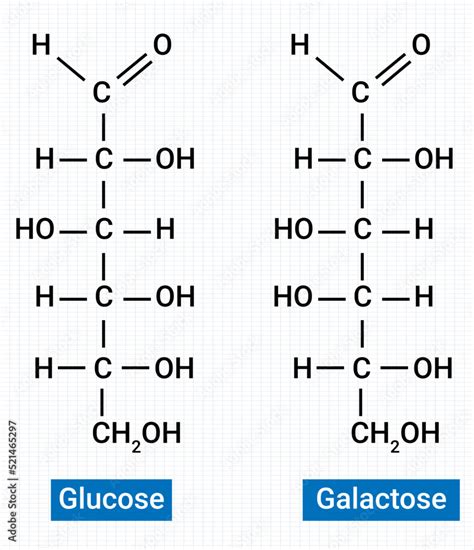 Linear Structure Of Galactose