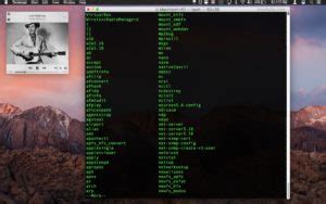 How To List Every Terminal Command On Mac OS