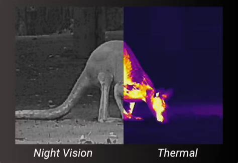 Guide Tl650 Multispectral Fusion Thermal Imaging Monocular Gothermal