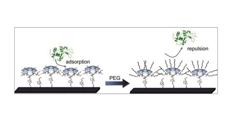 Protein Resistance Of Peg Functionalized Dendronized Surfaces Effect Of Peg Molecular Weight