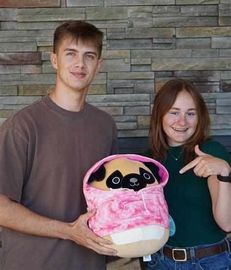 Pod Groups — Mosaic