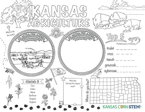 Agriculture Activity Sheets Ks Corn