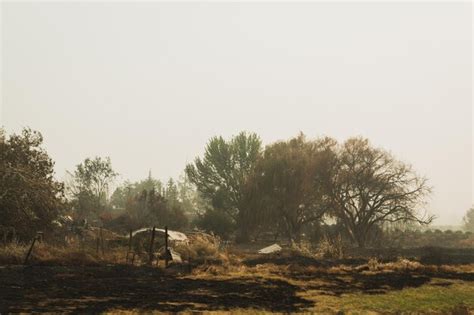 Premium Photo Driving Down Interstate 5 I5 Amongst The Smoke From