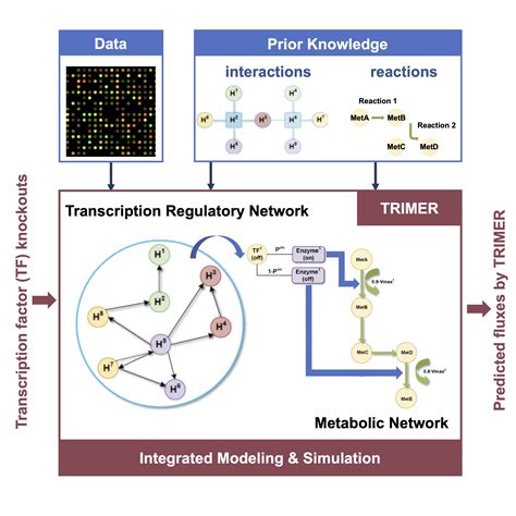 trimer a modeling and simulation framework for integrated analysis of