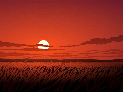 Grassland At Sundown Vector Nature Landscape 36081362 Vector Art At