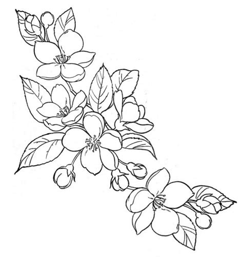 Pin By Solange Reis On Salvamentos Rápidos Flower Tattoo Designs