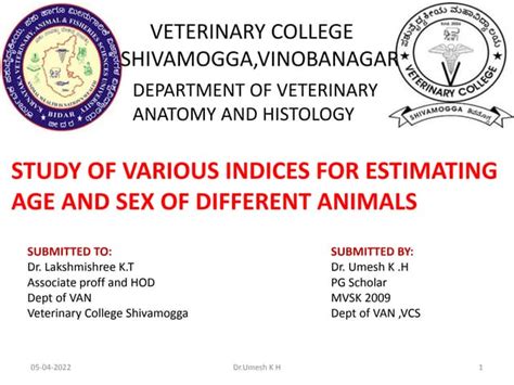 Dentition And Sex Differentiaon Pptx Dental Health Diseases And