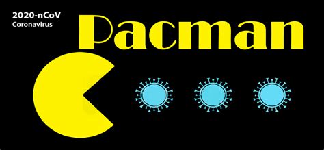 Chen And Oran S Pacman