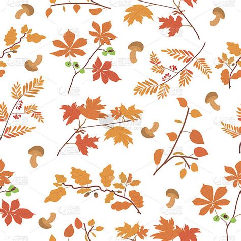 图案与秋天的叶子和蘑菇。树枝橡树，枫树，桦树，栗树和花楸。