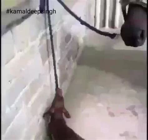 Mohamed Hussien Posted On Linkedin