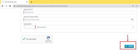How To Check Dubai Uae Visit Visa Status Online By Passport File