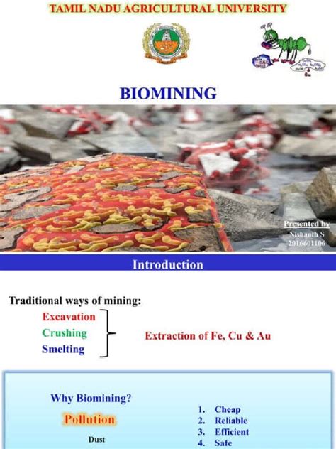 Biomining 77001859 Pdf Pdf