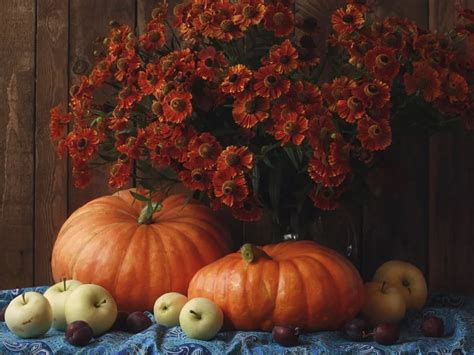 Обои цветы тыква на рабочий стол