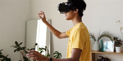 Risc V Ip Solution Nuclei Best Risc V Processor Ip