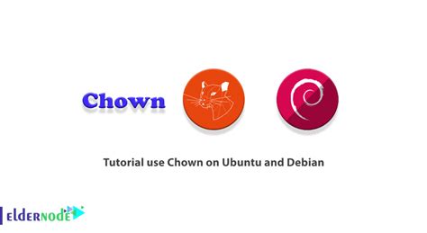Troubleshooting Litespeed Errors On Cpanel A Clever Guide