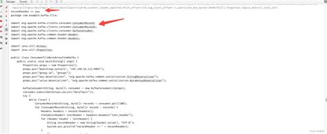 kafka 发送文件二进制流及使用header发送附属信息 kafka传输二进制文件 csdn博客