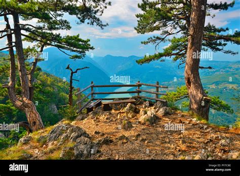 Banjska Stena Tara National Park Serbia Stock Photo Alamy