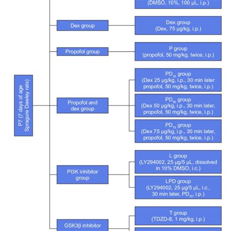 The Experimental Flowchart Notes A The Experimental Grouping Download Scientific Diagram