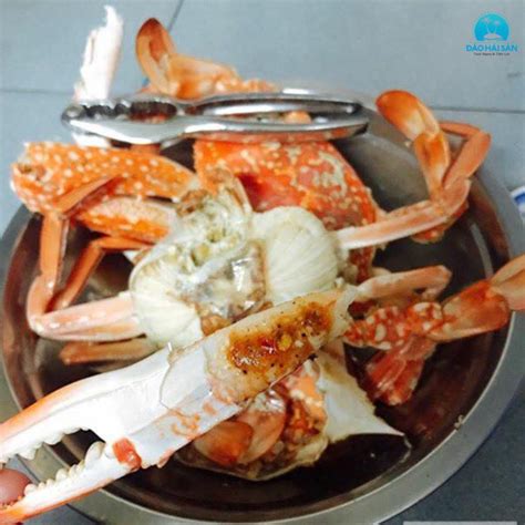 Ghẹ Sống 4 5 Con Kg