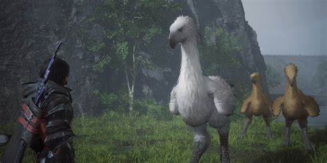 Level Up Your Ride Mastering Chocobo Mounts In Final Fantasy 16