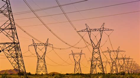 Zesa Plundered Herald