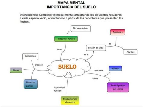 Hoja De Trabajo Con Mapa Conceptual De Ecosistemas Los Ecosistemas
