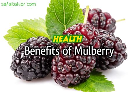 Health Benefits Of Mulberry Safaltakior