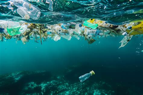 Wie Verteilt Sich Der Plastikmüll In Den Meeren Pm Wissen