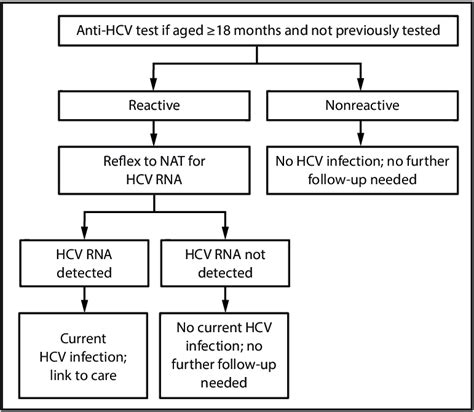Algorithm For Hepatitis C Virus Testing Of Perinatally Exposed