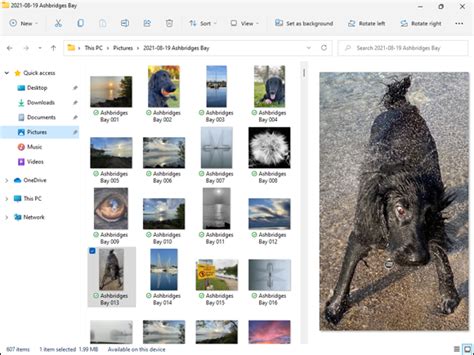 chapter 10 working with files windows 11 simplified [book]